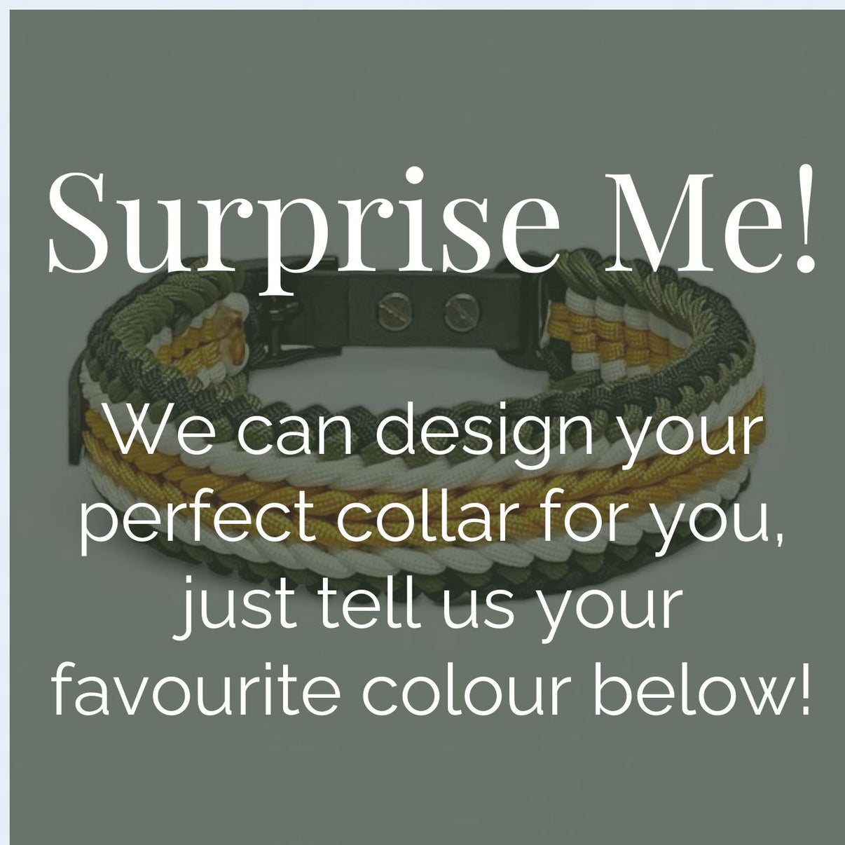 Cascade - Design Your Own - Premium Dog Collar